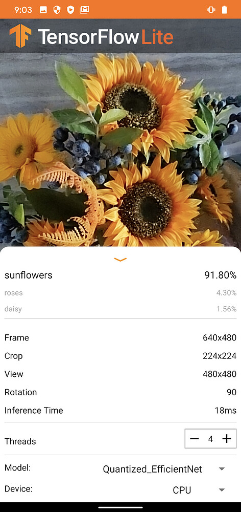 有效提高视觉模型精度：EfficientNet-Lite 发布 - 技术分享 - tf.wiki 社区
